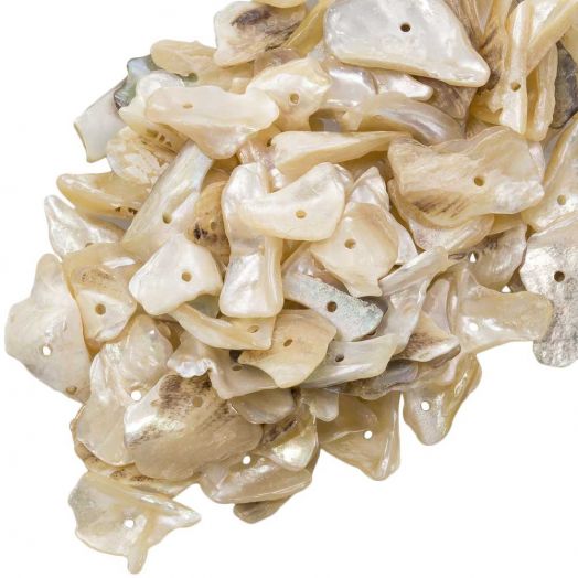 Kauri schelpjes en schelp kralen online kopen!